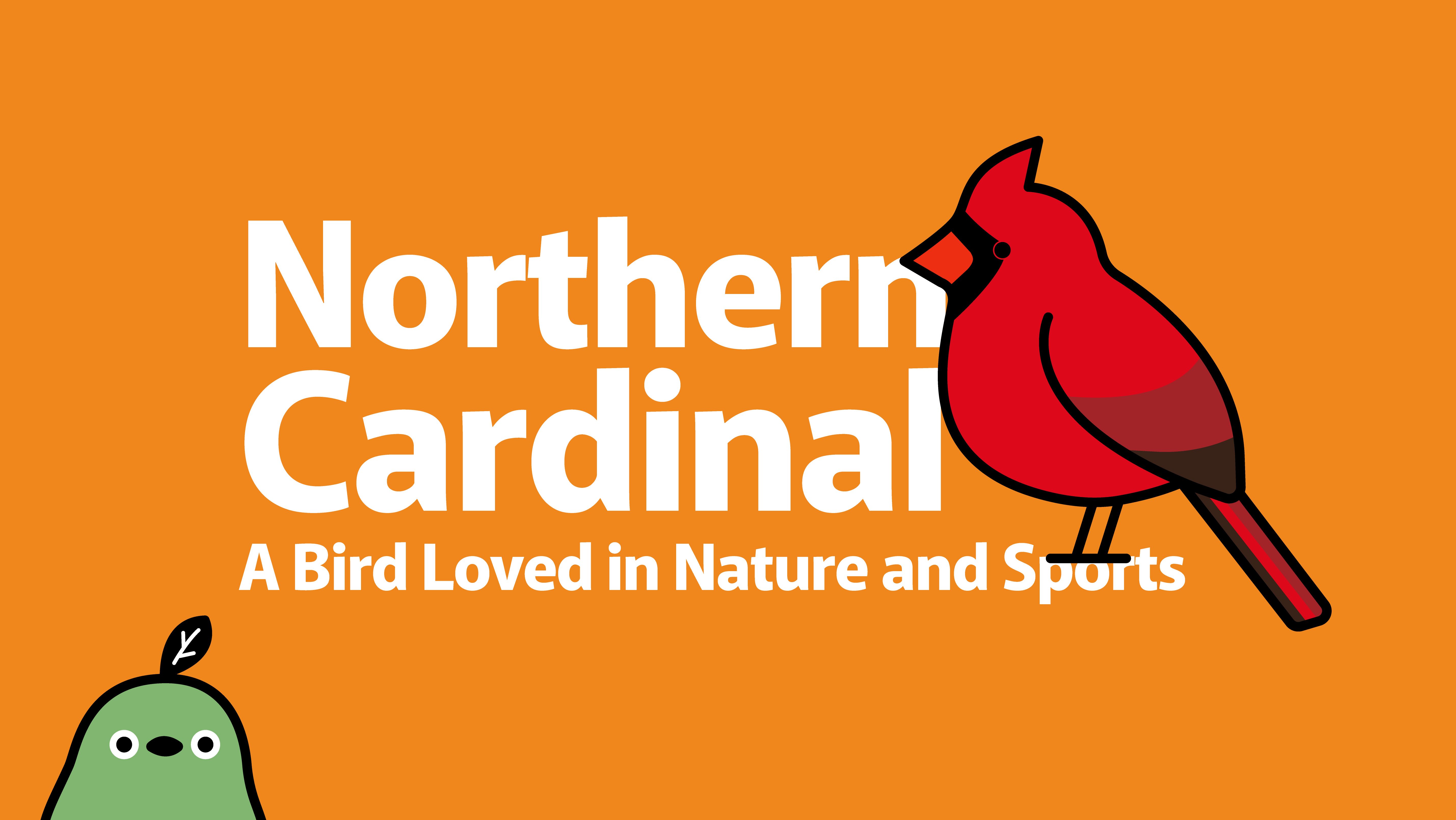 The Northern Cardinal: A Bird Loved in Nature and Sports - トリまめ | Torimame