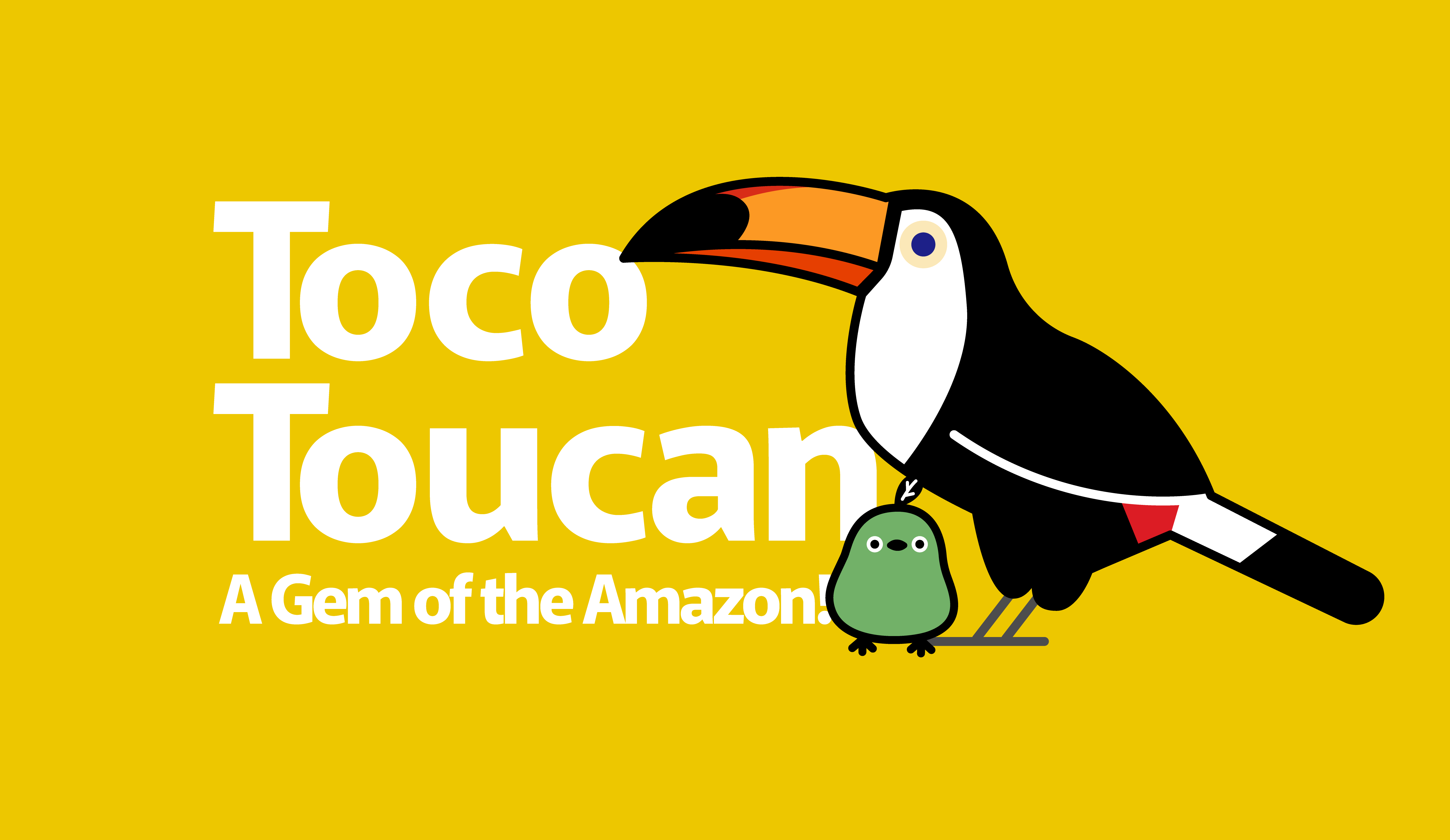 The Toco Toucan: A Gem of the Amazon! - トリまめ | Torimame