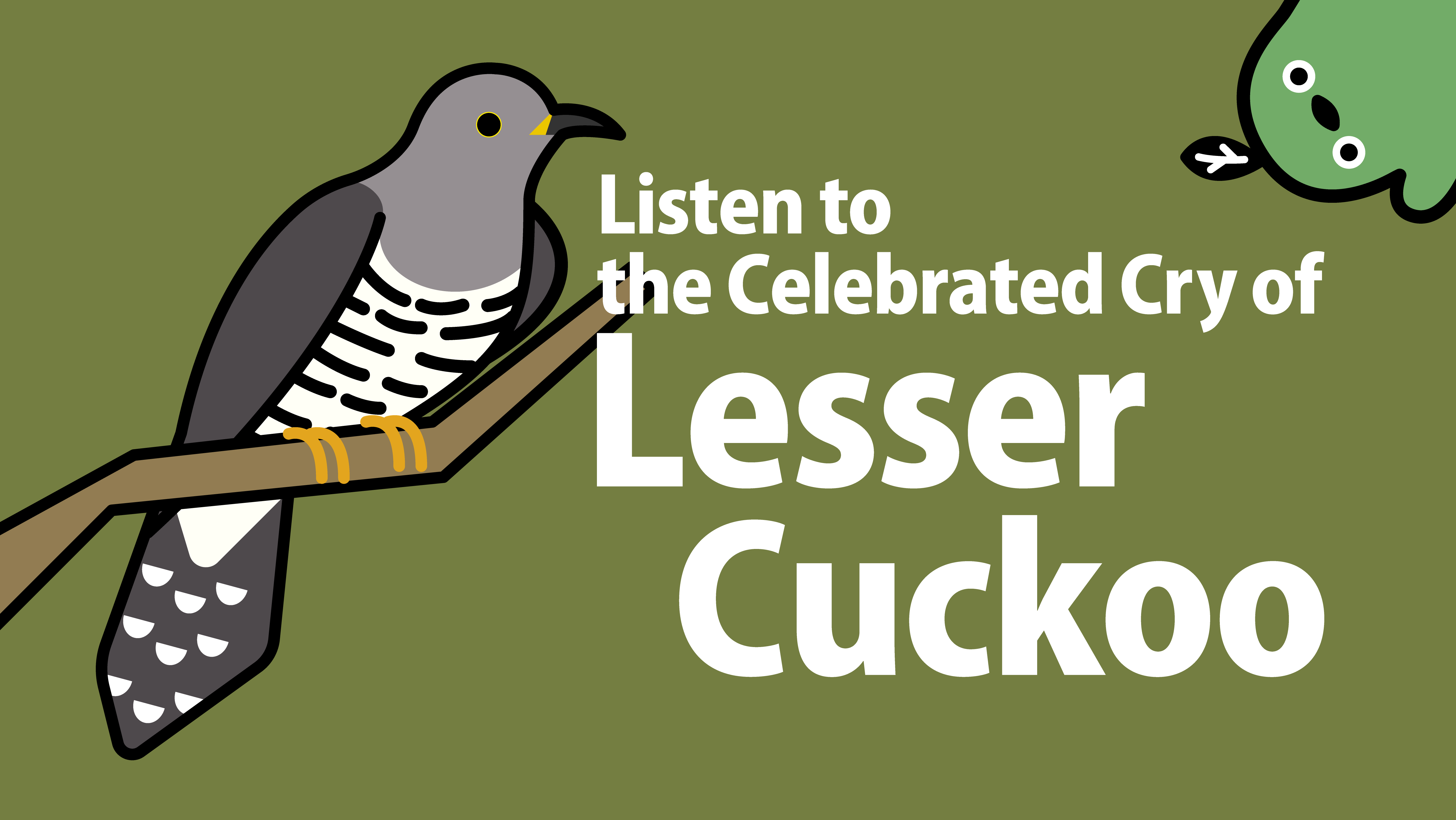 Listen to the Celebrated Cry of the Lesser Cuckoo - トリまめ | Torimame