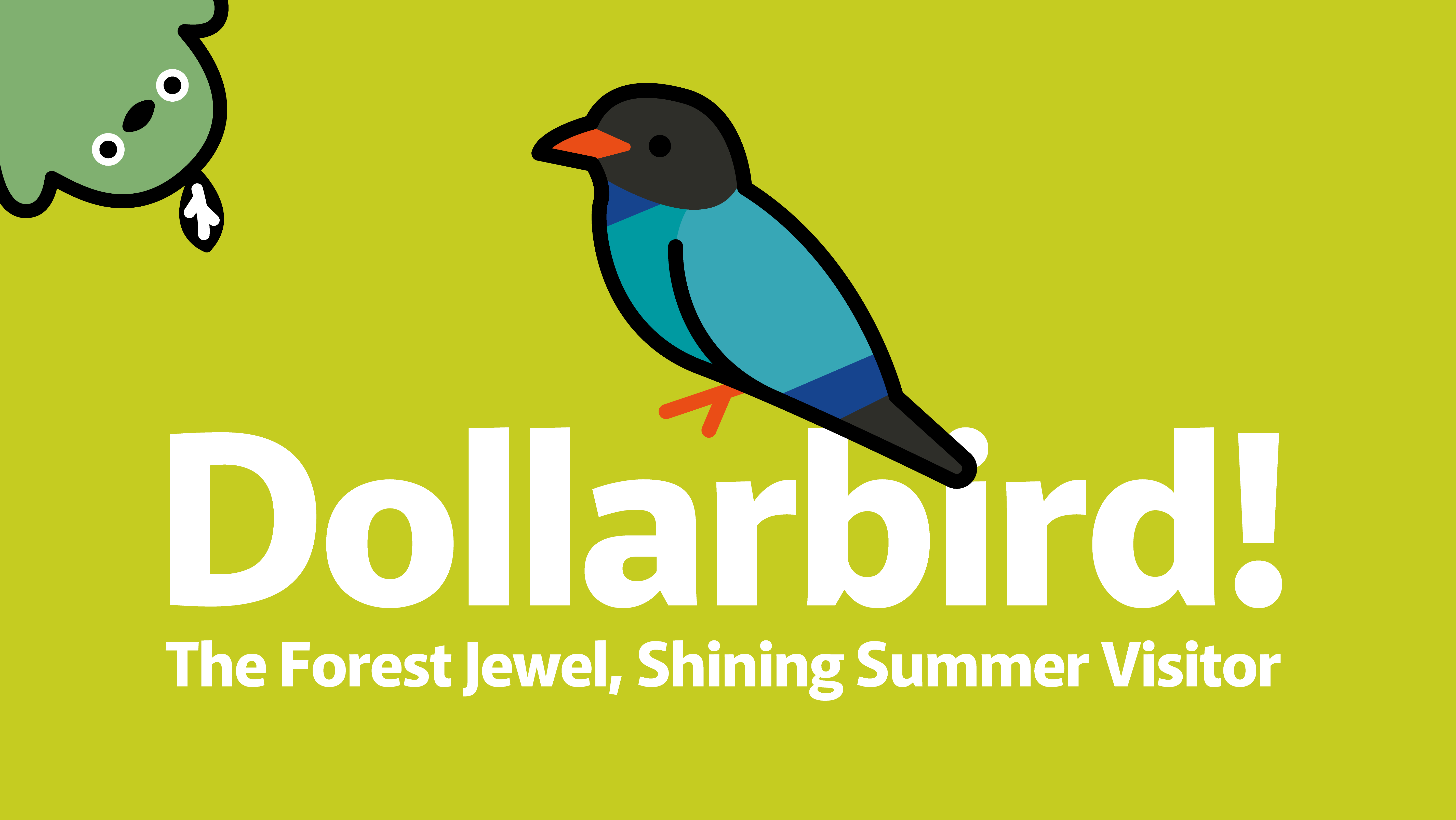 The Dollarbird! The Forest Jewel, Shining Summer Visitor - トリまめ | Torimame